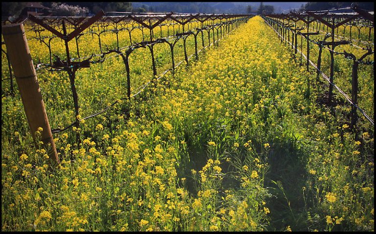 Easements for Road Use - When the Owner Can Can Make Improvements on ...